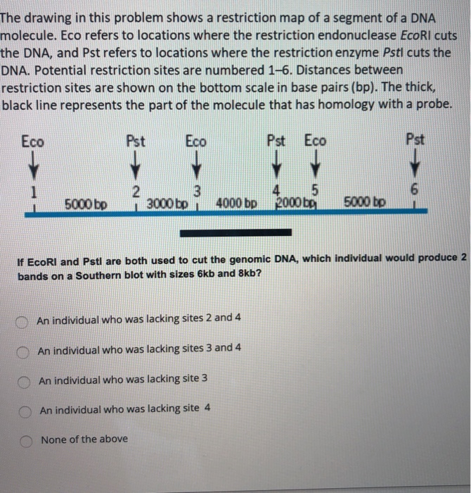 Solved The drawing in this problem shows a restriction map | Chegg.com