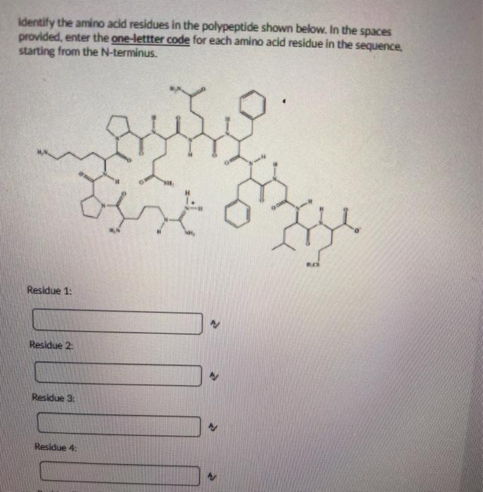 Solved Identify the amino acid residues in the polypeptide | Chegg.com
