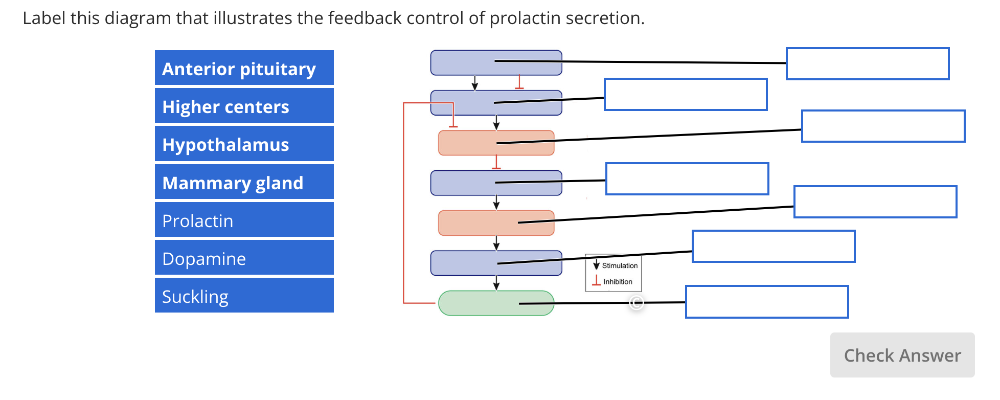 Solved Label this diagram that illustrates the feedback | Chegg.com