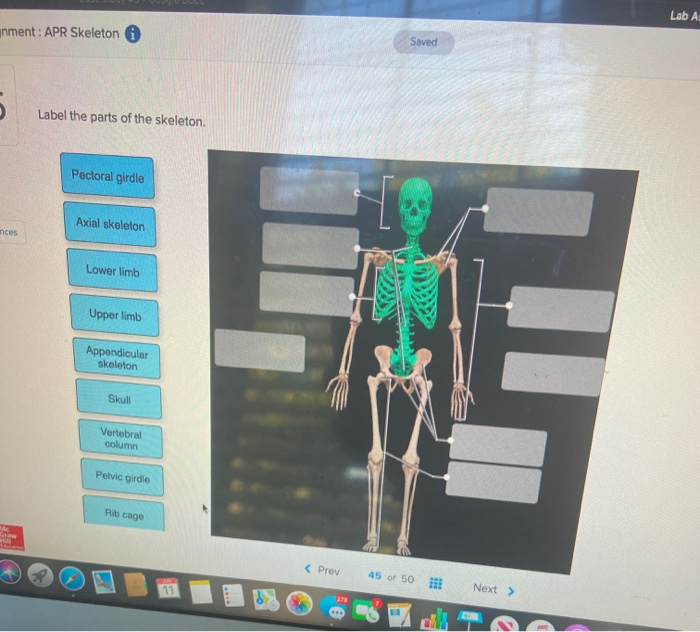 Solved Lab A: inment: APR Skeleton A Saved Label the parts | Chegg.com