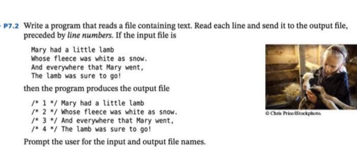 Solved P7.2 Write a program that reads a file containing | Chegg.com