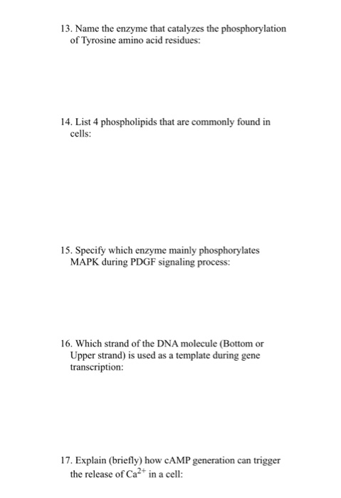 Solved 18. What type of capping takes place at the 3'end of | Chegg.com