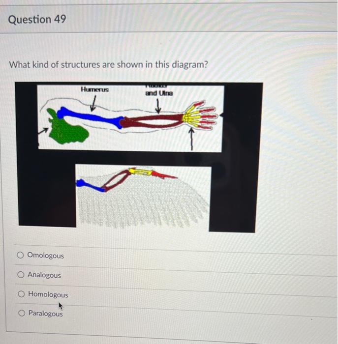Solved What kind of structures are shown in this diagram? | Chegg.com