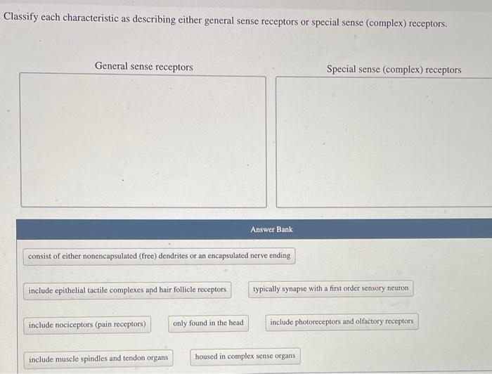 Solved Classify each characteristic as describing either | Chegg.com
