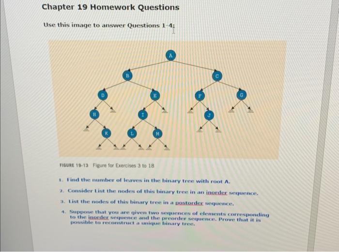 Solved Chapter 19 Homework Questions Use this image to | Chegg.com