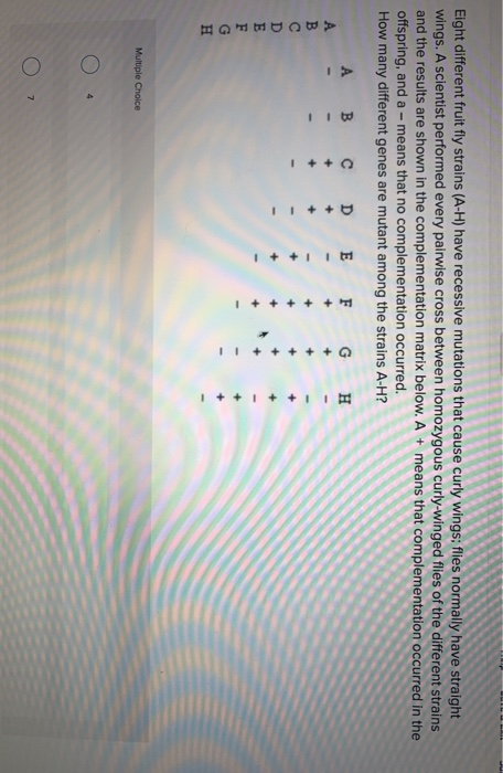Solved Eight different fruit fly strains (A-H) have | Chegg.com