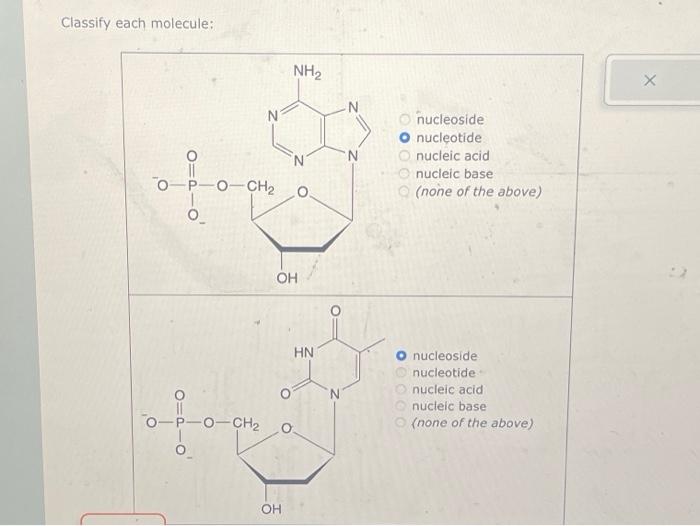 Solved Classify each molecule: nucleoside nucleotide | Chegg.com