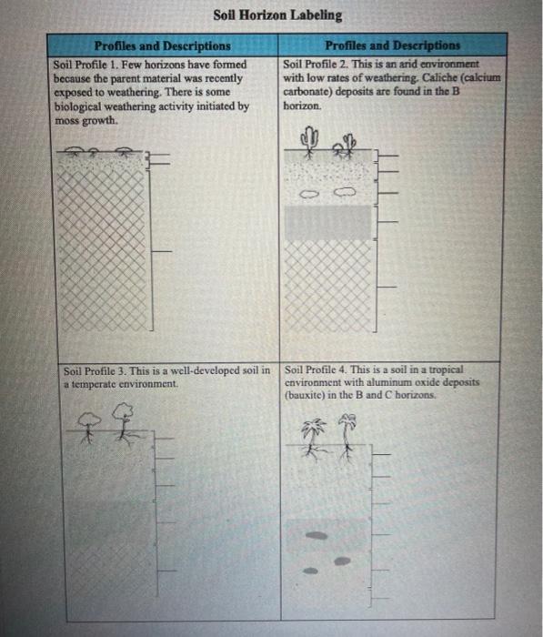 Solved Soil Horizon LabelingGlobal Soil RegionsAndisols, | Chegg.com
