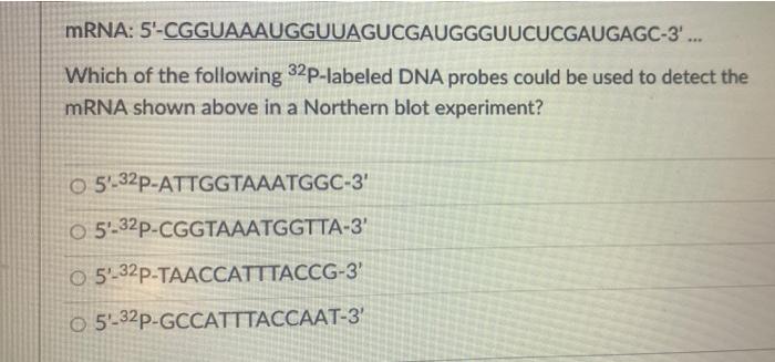 Solved mRNA: 5-CGGUAAAUGGUUAGUCGAUGGGUUCUCGAUGAGC-3'... | Chegg.com