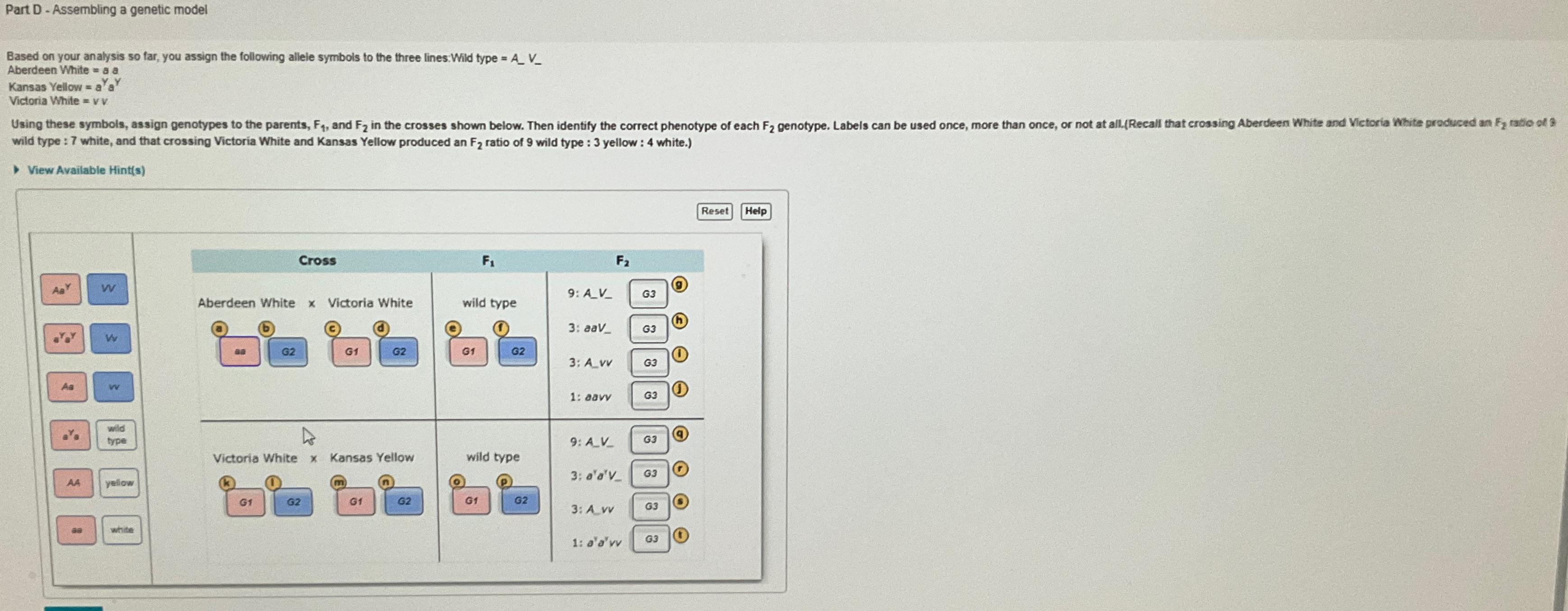Solved Part D - ﻿Assembling a genetic modelBased on your | Chegg.com