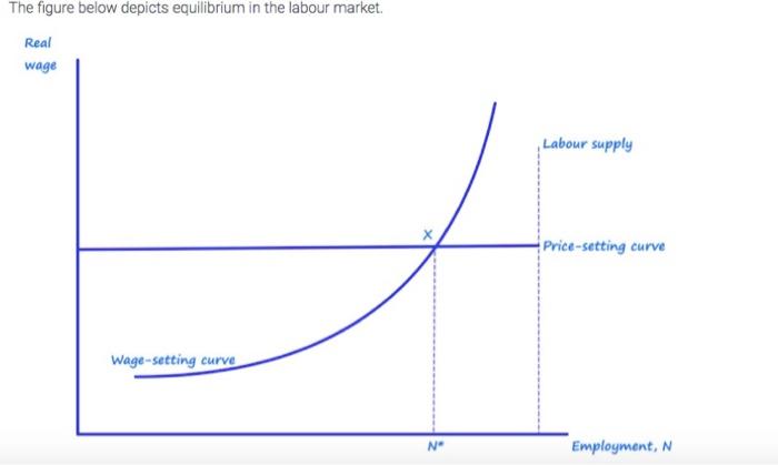 Solved The figure below depicts equilibrium in the labour | Chegg.com