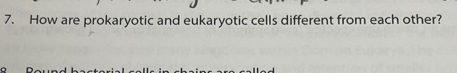 Solved How are prokaryotic and eukaryotic cells different | Chegg.com