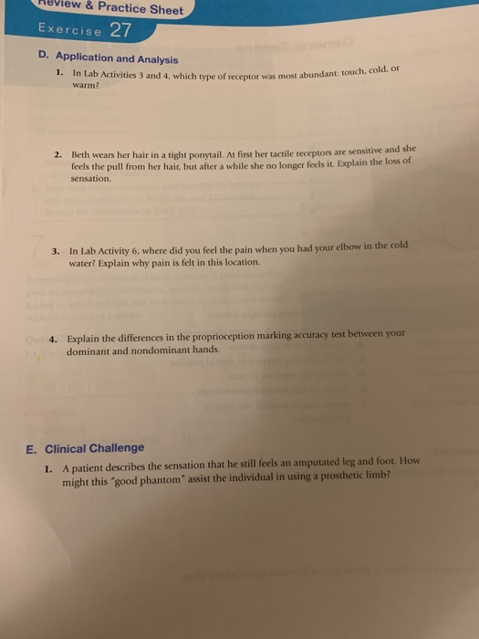 Solved View & Practice Sheet Exercise 27 D. Application and | Chegg.com