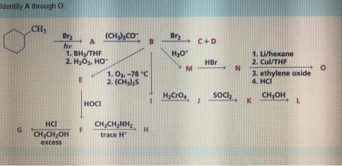 Solved Identify A through 0 CH Br2 C+D H30+ Br2 (CH3)300 A | Chegg.com