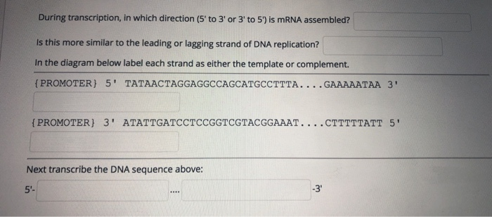 Solved During transcription, in which direction (5' to 3' or | Chegg.com