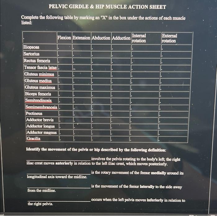 Solved asl PELVIC GIRDLE & HIP MUSCLE ACTION SHEET Complete | Chegg.com