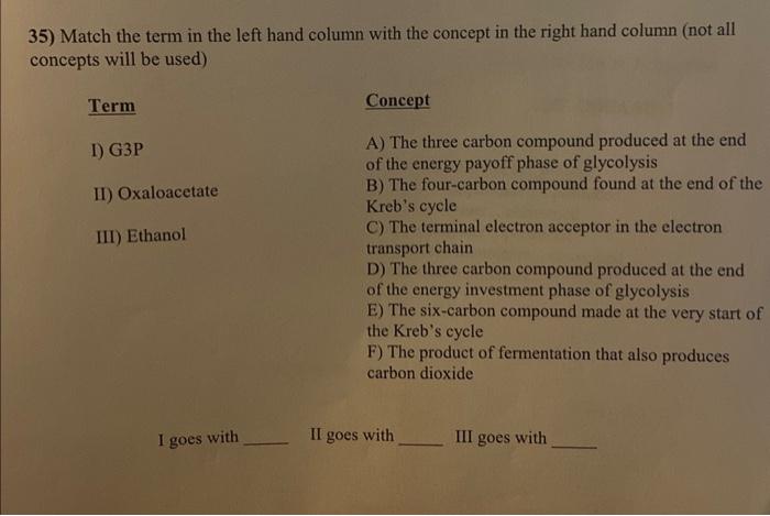 Solved 35) Match the term in the left hand column with the | Chegg.com