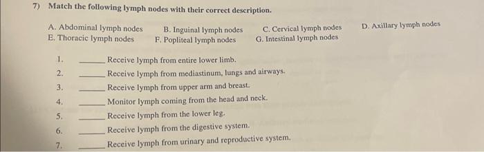 Solved 7) Match the following lymph nodes with their correct | Chegg.com