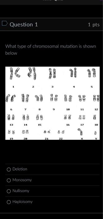 Solved Question 1 What type of chromosomal mutation is shown | Chegg.com