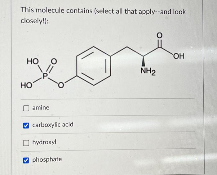 Solved This molecule contains (select all that apply--and | Chegg.com