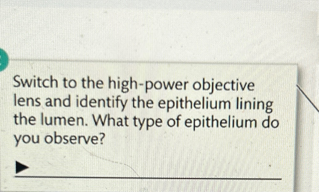 Solved Switch to the high-power objective lens and identify | Chegg.com