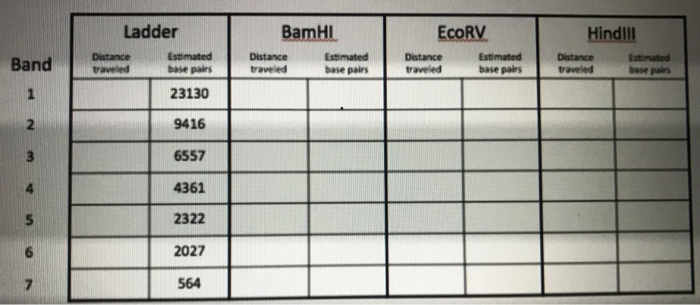 Solved Using the semi-log graph paper below, create a | Chegg.com