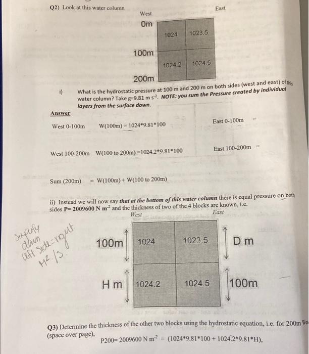 Solved Introduction: The hydrostatic pressure is essentially | Chegg.com