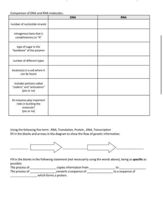 Solved Name Section Name DNA, RNA and the Genetic Code | Chegg.com