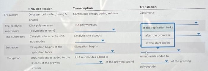 Solved 6. Comparing transcription and translation The | Chegg.com