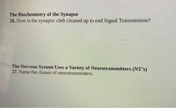 Solved The Biochemistry of the Synapse 26. How is the | Chegg.com