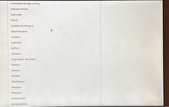Solved Chicxulub chronospecies cladogenesis cladogram | Chegg.com