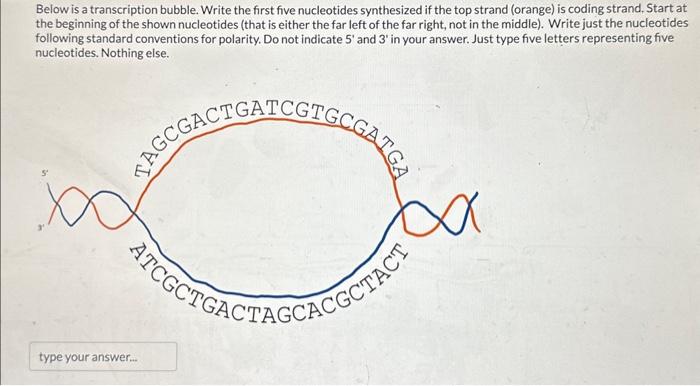 Solved Below is a transcription bubble. Write the first five | Chegg.com