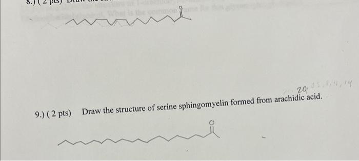 Solved 20 9.) ( 2pts) Draw the structure of serine | Chegg.com