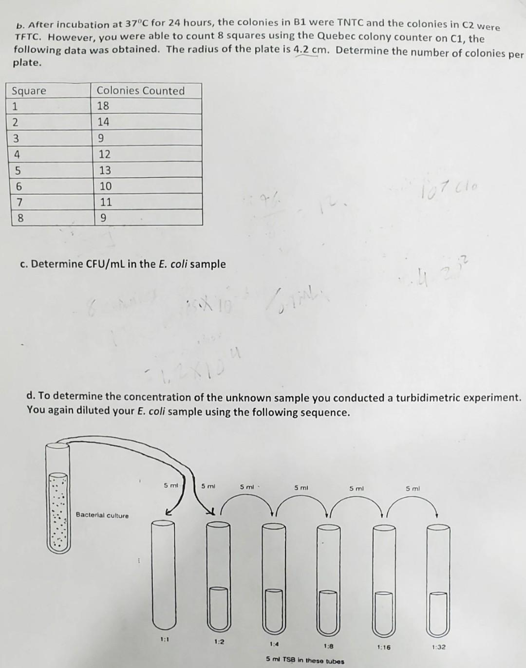 Solved Enumeration: a. In the laboratory you performed the | Chegg.com