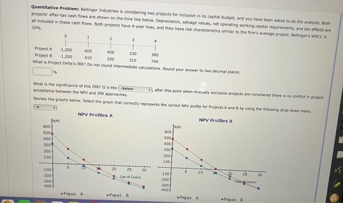 Solved Capital Budgeting Decision Criteria: NPV Profile A | Chegg.com