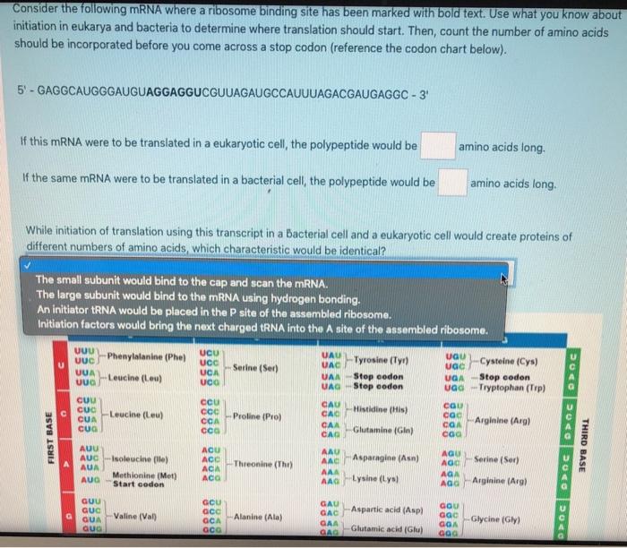 Solved Consider the following mRNA where a ribosome binding | Chegg.com