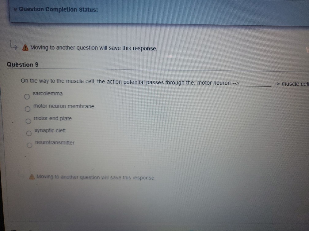 Solved Question Completion Status: A Moving to another | Chegg.com