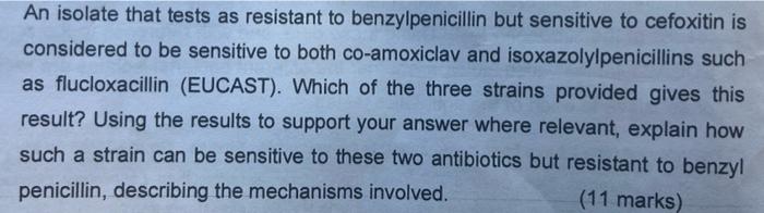 Solved Organism Nitrocefin test: Result Zone Zone diameter | Chegg.com