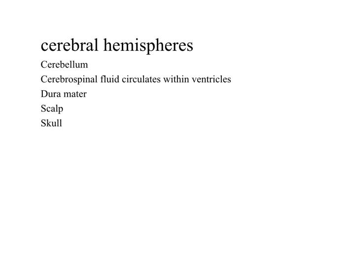 Solved CEREBRAL HEMISPHERES cerebral hemispheres Cerebellum | Chegg.com