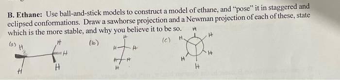 Solved B. Ethane which is the more stable and whyC. Butane | Chegg.com
