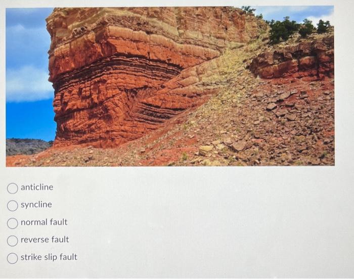 Solved What type of structure is exhibited in the photograph | Chegg.com