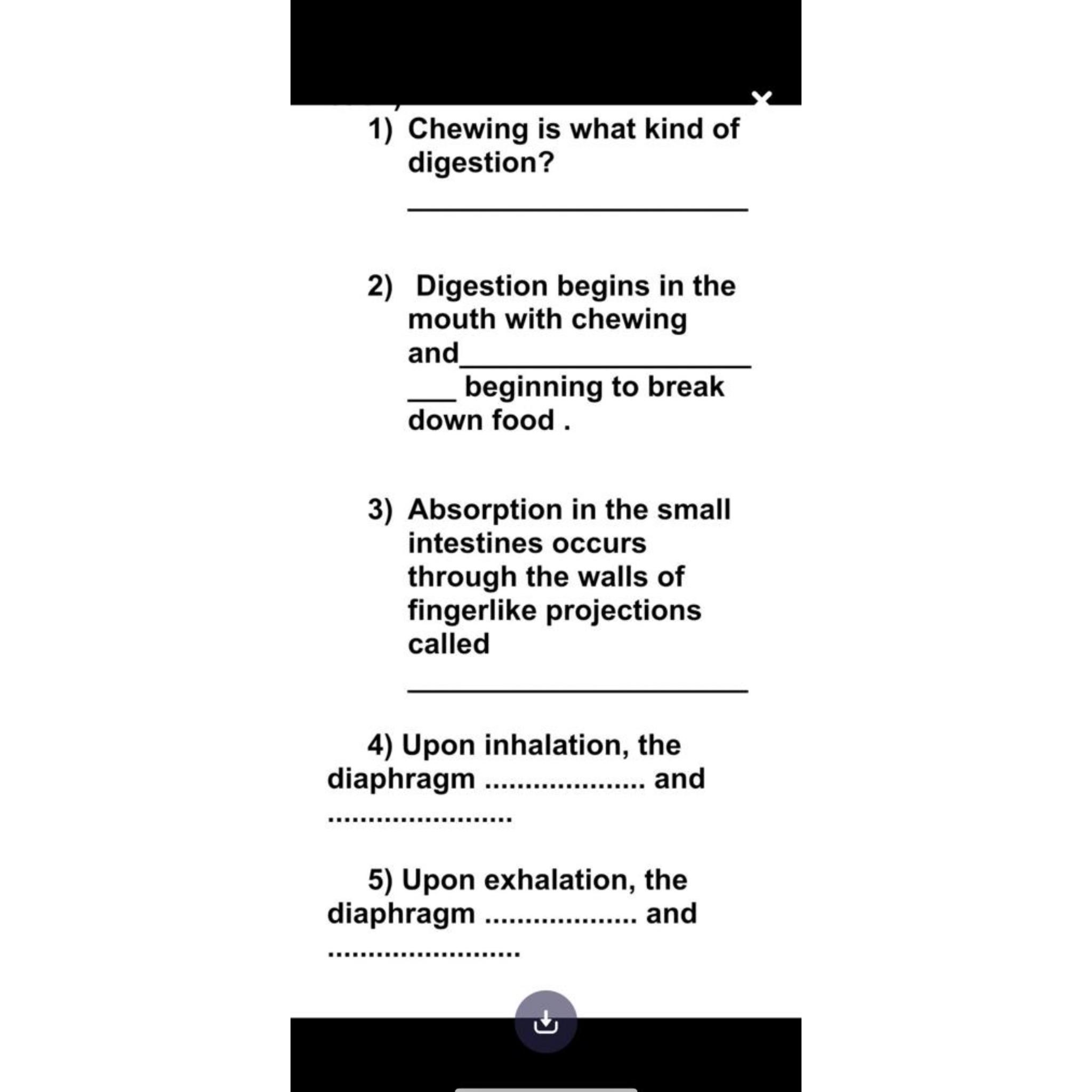 Solved Chewing is what kind of digestion?Digestion begins in | Chegg.com