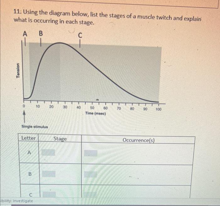 Solved 11. Using the diagram below, list the stages of a | Chegg.com