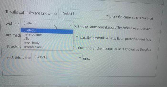 Solved Tubulin subunits are known as Tubulin dimers are | Chegg.com