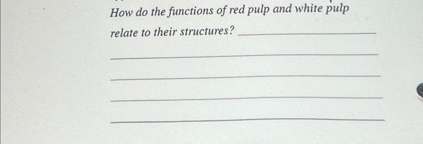Solved How do the functions of red pulp and white pulp | Chegg.com