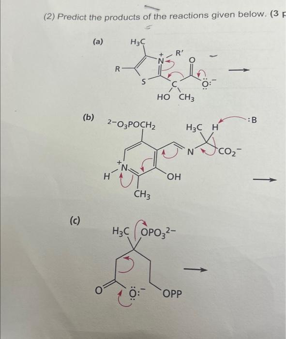 Solved (2) Predict the products of the reactions given | Chegg.com