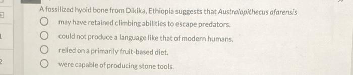 Solved A fossilized hyoid bone from Dikika, Ethiopia | Chegg.com