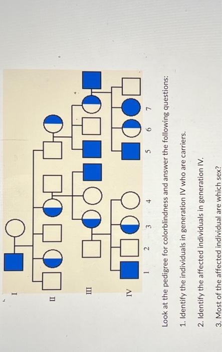 Solved Look at the pedigree for colorblindness and answer | Chegg.com