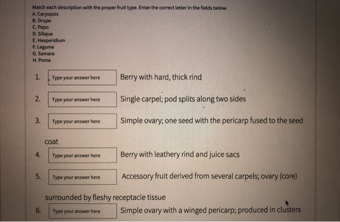 Solved Match the description with its categorization as a | Chegg.com