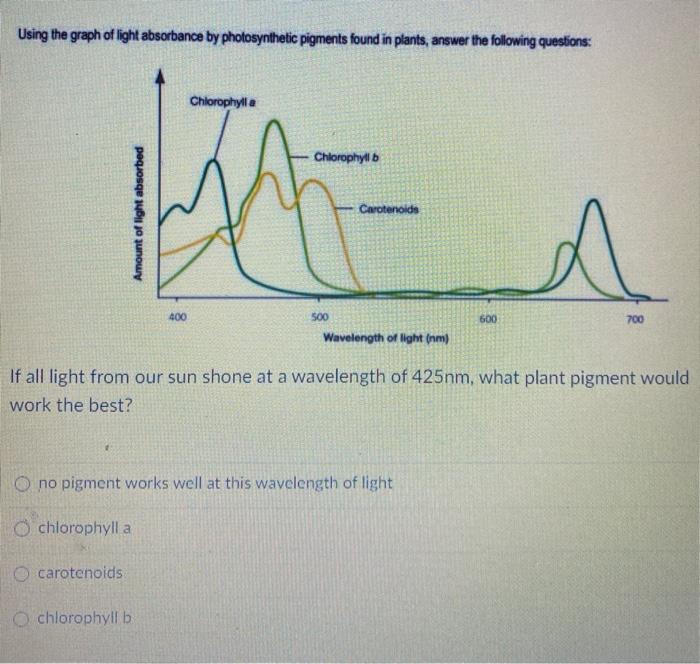 Solved Using the graph of light absorbance by photosynthetic | Chegg.com